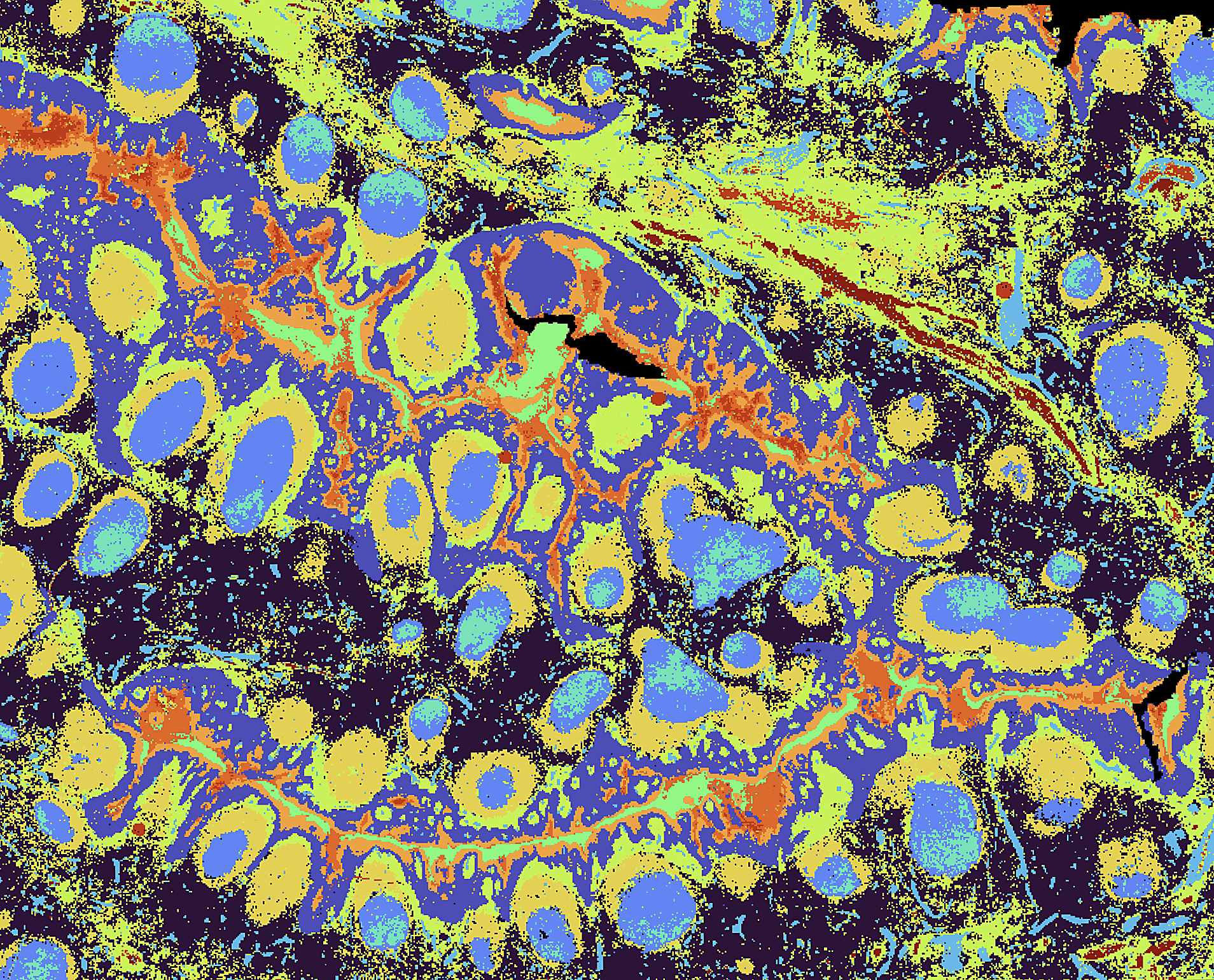 Your introduction to Visium HD: Spatial biology in high definition - 10x Genomics
